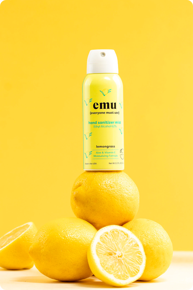 emu (everyone must use) – Everyone Must Use, Inc